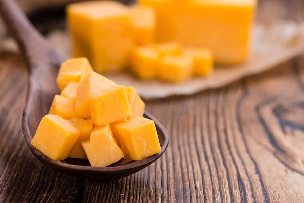 Pizza Toppings: The Ultimate Guide (Cheese, Toppings, Finishing Touches ...