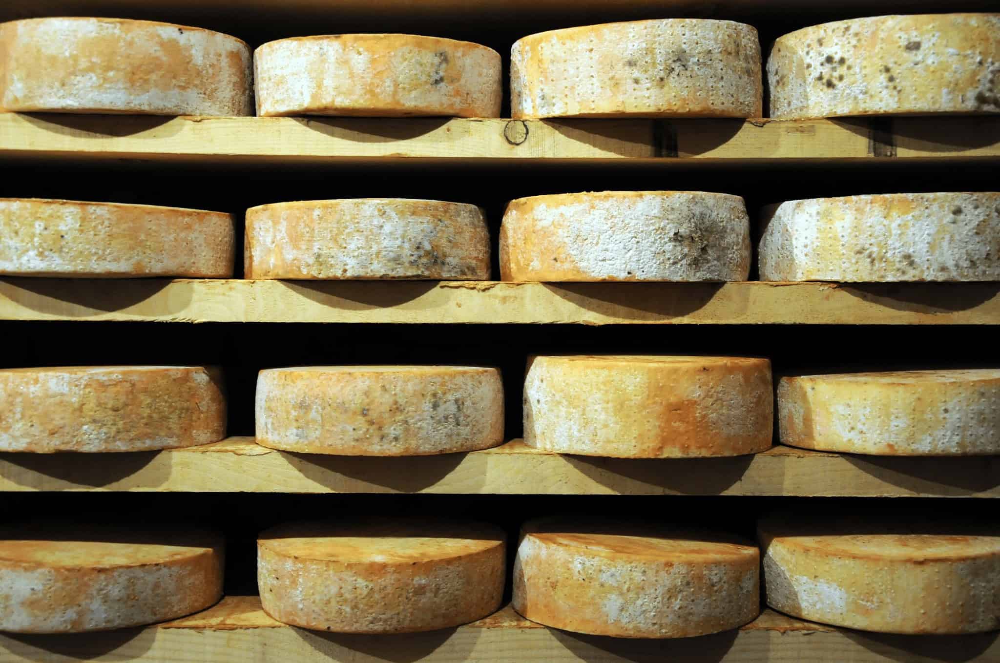 What is Fontina Cheese: Unveiling the Rich and Creamy Delight - Your ...