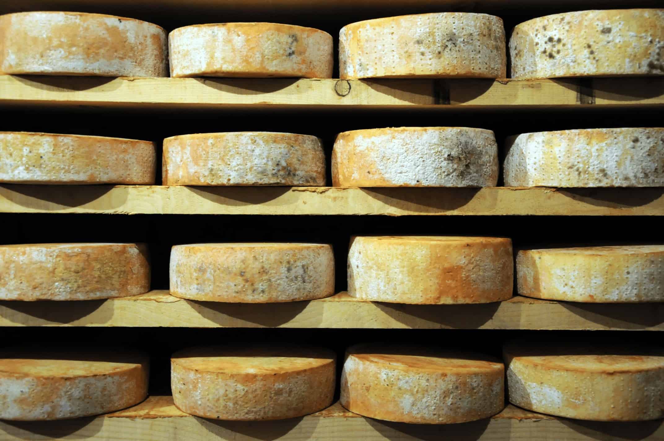 What is Fontina Cheese: Unveiling the Rich and Creamy Delight - Your ...